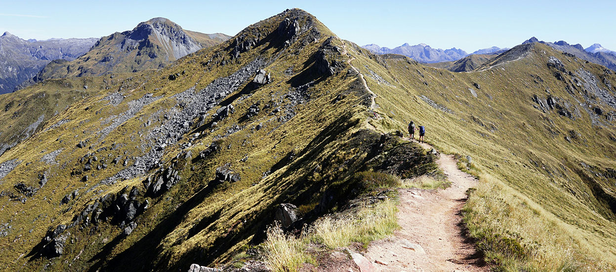 Kepler Track in Neuseeland: Fiordland National Park | Bergzeit Magazin